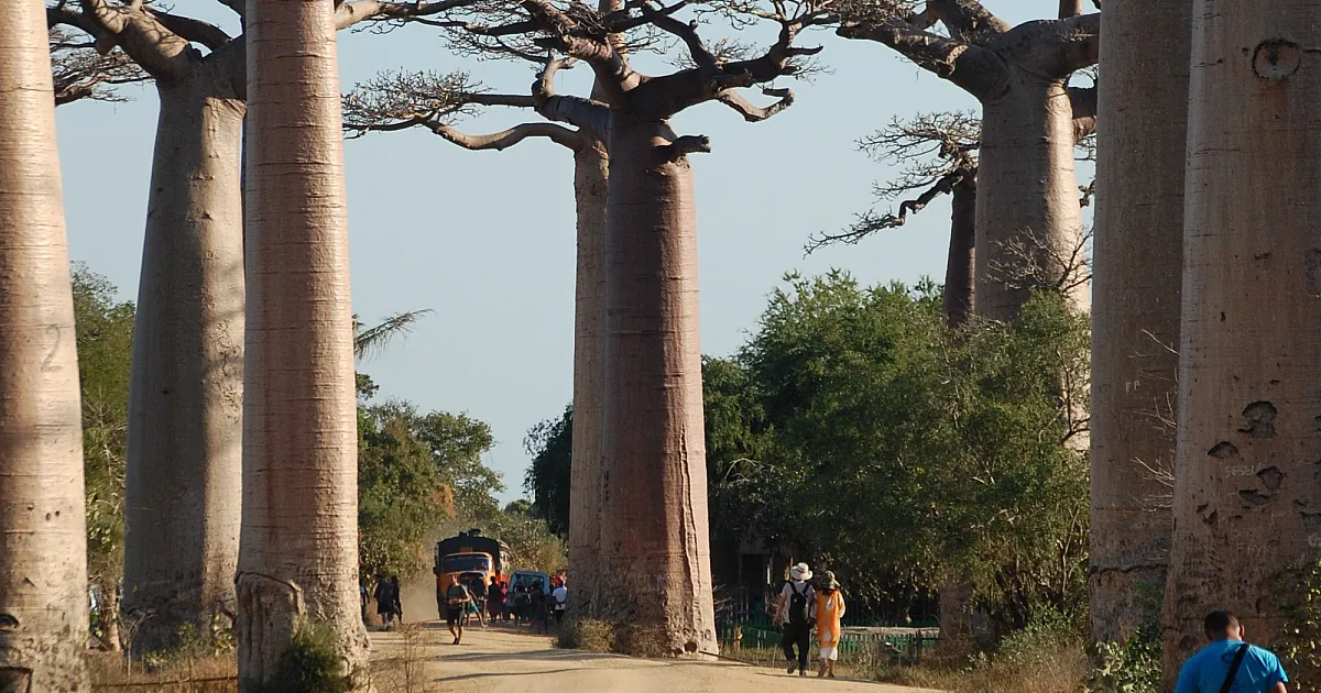 Madagascar - FAQs - Tatis Travel