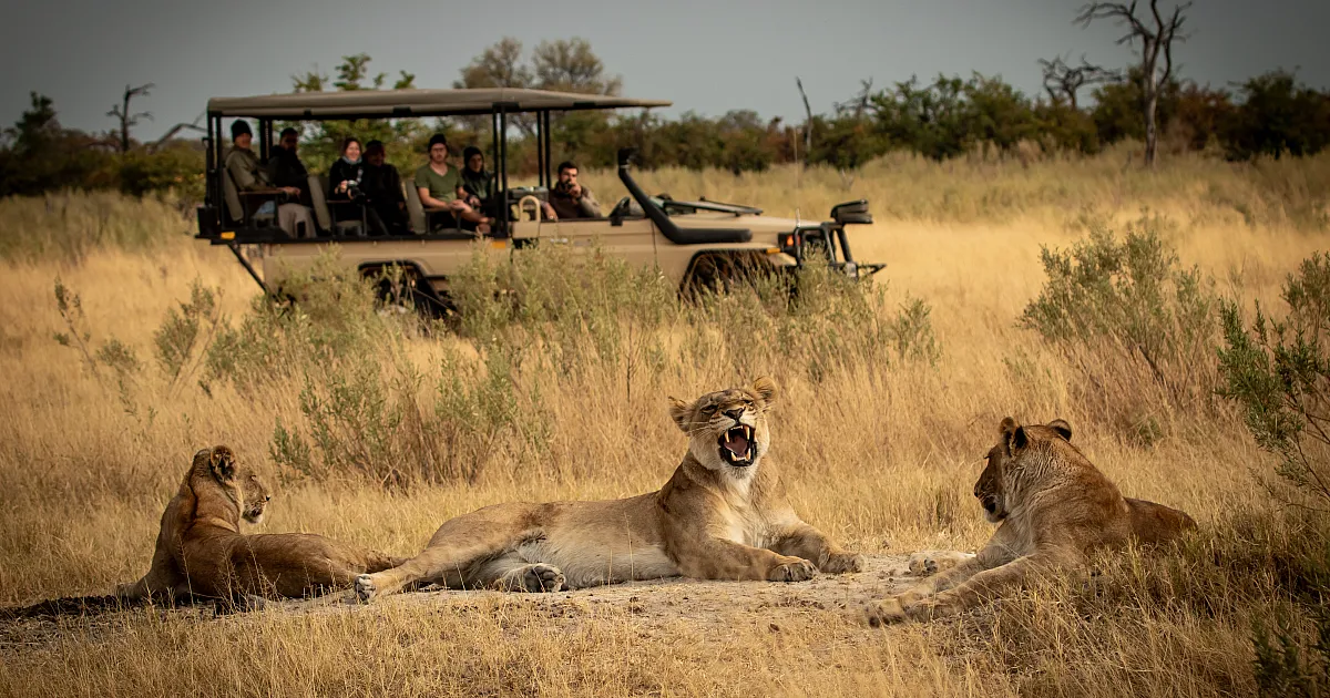 5 Reasons To Visit Botwsana - Tatis Travel